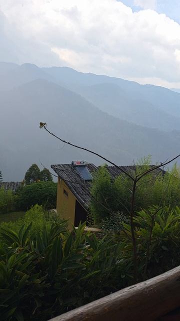 Град и ливень в парке Бвинди, Уганда