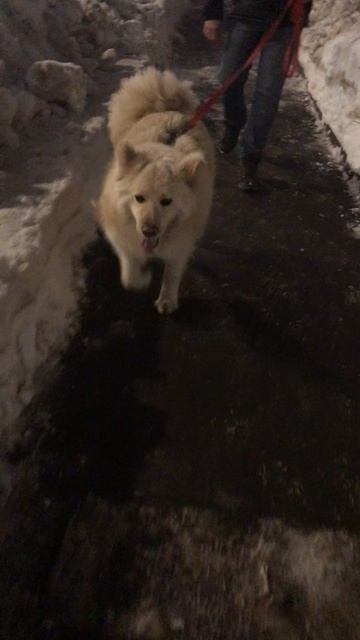 Ричик ❤️ ❄️❄️❄️❄️