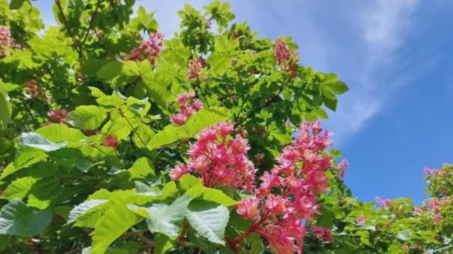 Стихотворение "Измени свою жизнь".