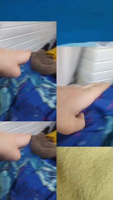 глупые котята 30