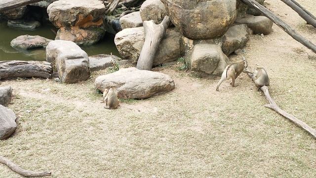 Путевые заметки из смартфона. Китай. Город Гуанчжоу. Мы-банда!