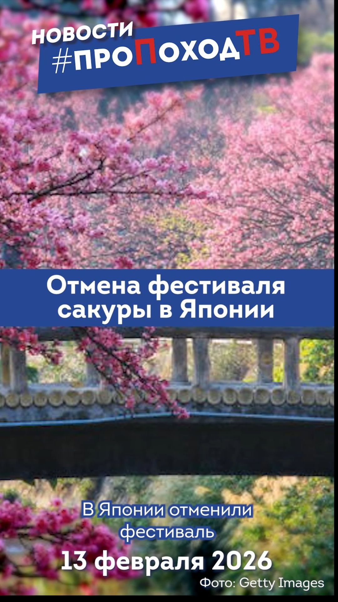 Отмена фестиваля Сакуры