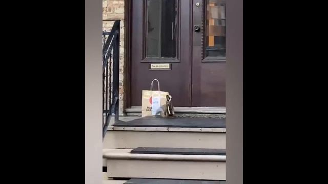 Смешные моменты. Угарное видео.