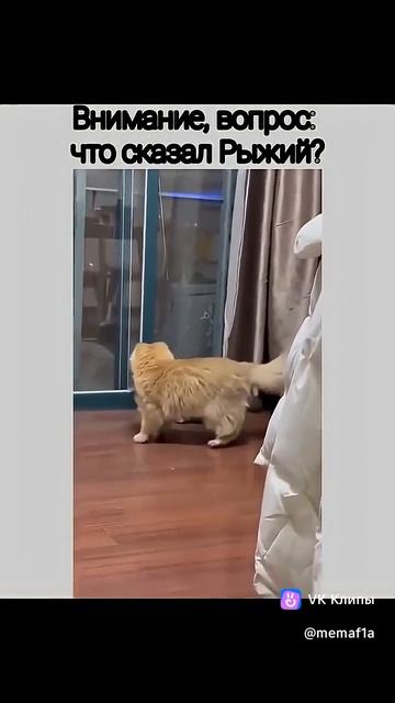 Что сказал Рыжий?