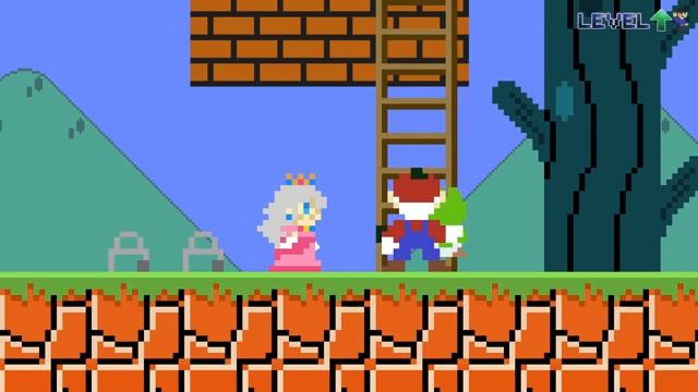 Mario and Peach grow old together Valentines Mini!