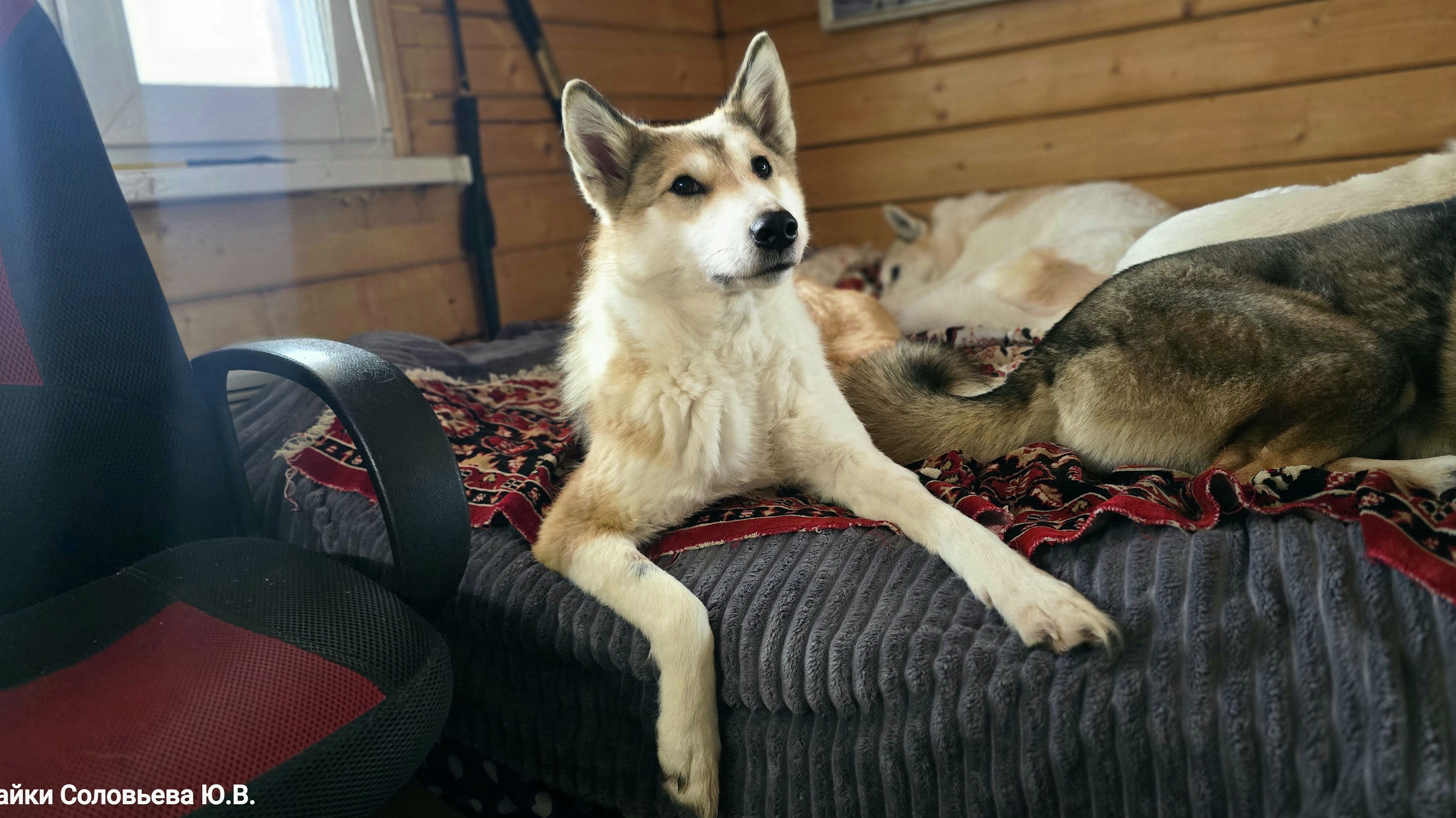 В день рождения Чезы