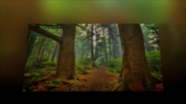 Dimilyan - For Her Only