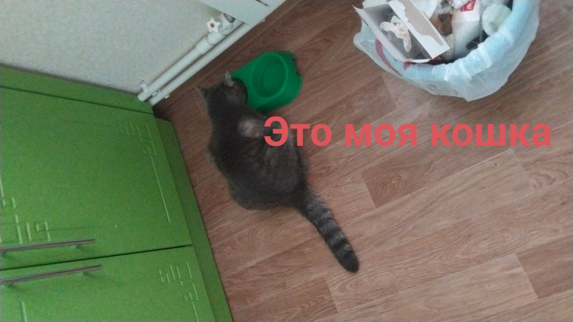 Скоро будет рубрика вопрос ответ