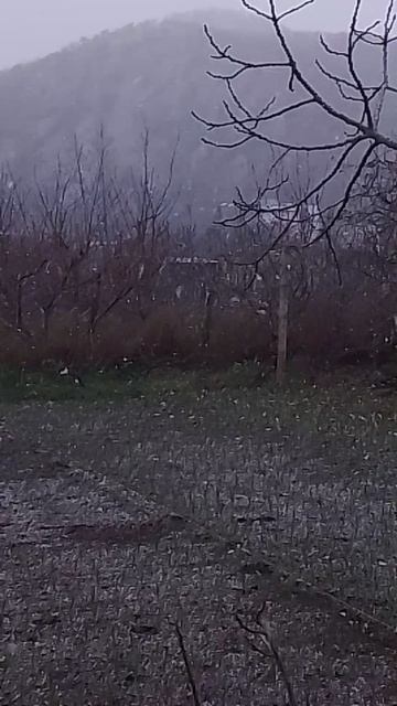 Встречаем 2026 в Крыму. 31 декабря 2025 г. Идёт снег и красота 😍💓. Год 26 снежный и морозный ❄⛄