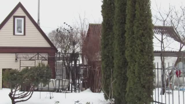 ЗИМОЙ НА ДАЧЕ🏚️🌲❄️
