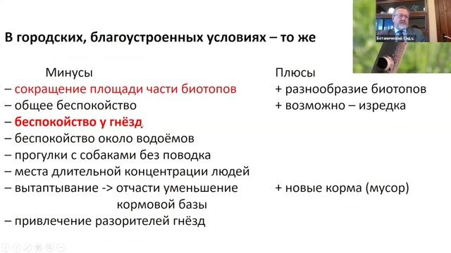 Соображения о птицах и рекреации