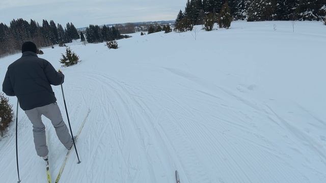 Там на Елках шишки, там медведи. Воскресный маршрут на лыжах.