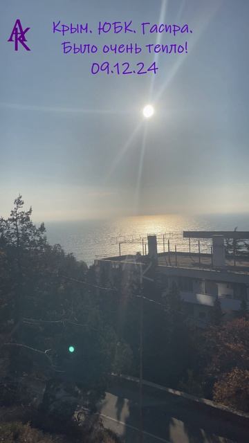 Крым. ЮБК. Гаспра. [4K] Было очень тепло! 09.12.24 #андрейкрымский #юбк #артемийкрым #андрейлилия