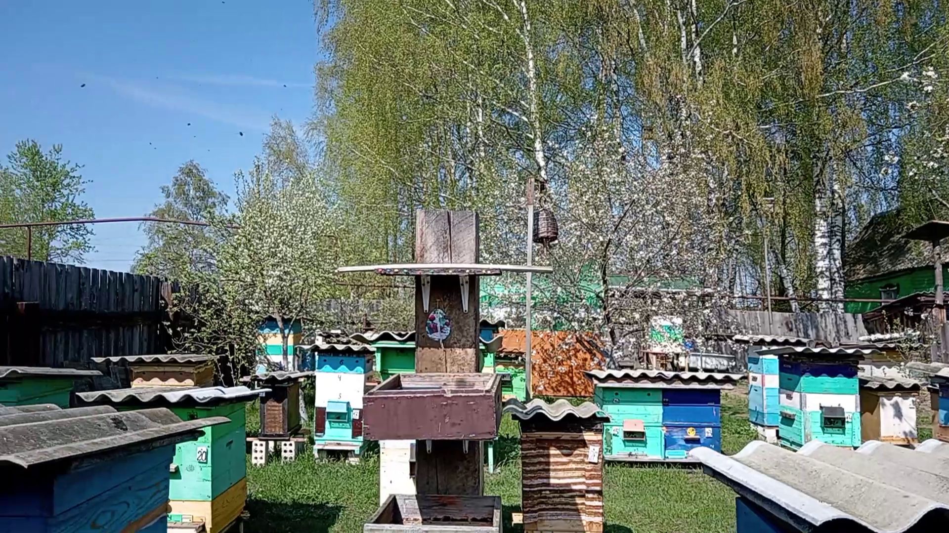 Скоро на всех Пасеках