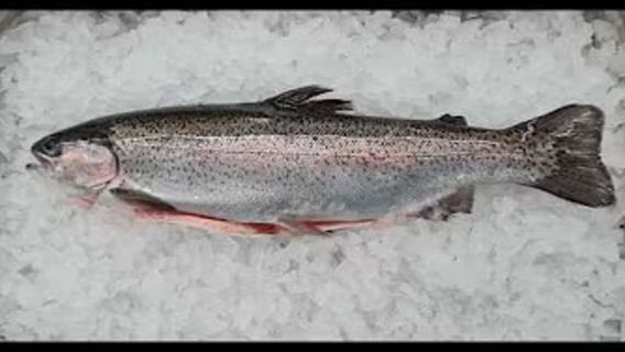 Форель. Маринкины творинки. Всем МИРА и Добра!