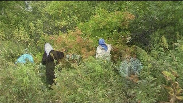 Этим летом 2011г