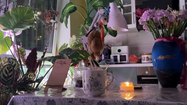 1. Болталка обо всем и ни о чем. Про отдых.