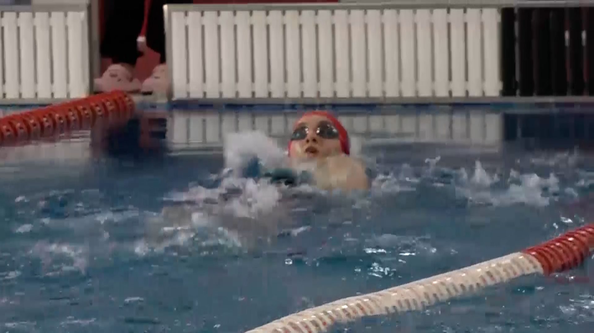 Соревновались две сотни юных пловцов. Во Дворце спорта «Олимп» прошел турнир «Золотая рыбка»