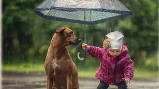 Эхо добрых дел. С днём проявления доброты. Роскошная музыкальная открытка.