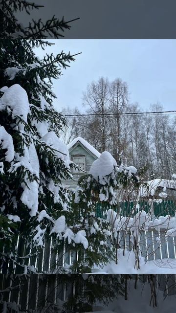 Когда занесло…