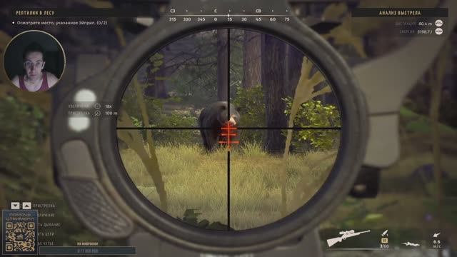 Way of the Hunter | Барибал (чёрный медведь)