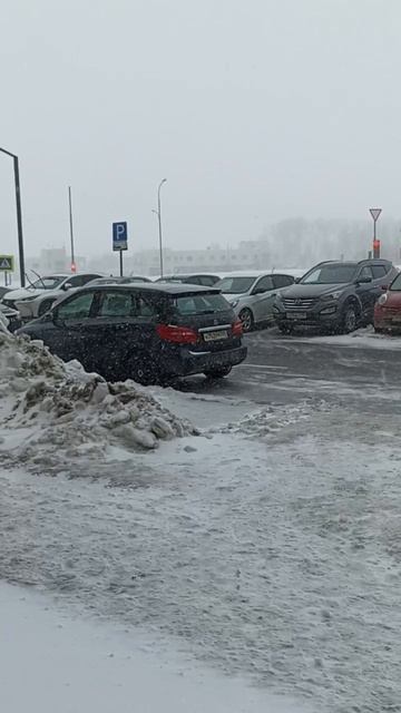 Суровый февраль...