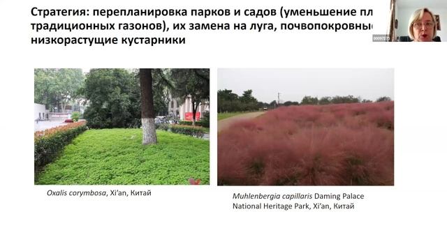 Газоны: биоразнообразие и рекреация. Возможен ли компромисс?