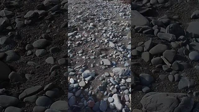 Дикий пляж южного берега Крыма. Приветное - Ускут. 17 декабря 2025 г. С Яром на прогулке. Три пса.