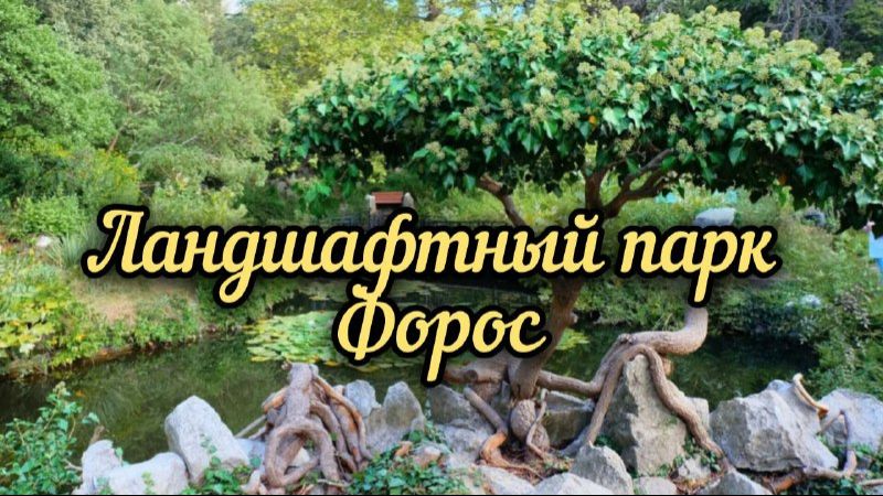 Октябрь. Прогулка по  южному ландшафтному парку _Форос_ . Золотая осень  и вечнозелёная сказка Крыма