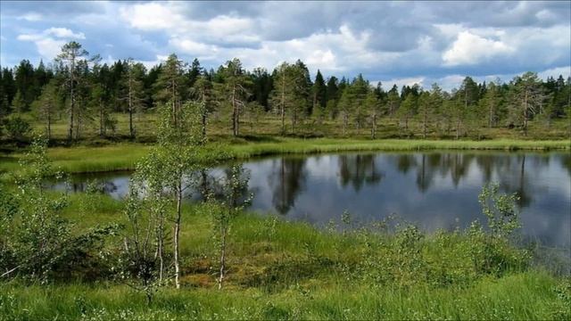 Millimetr vs A.Sadovnichiy - Night Out Of Megalopolis