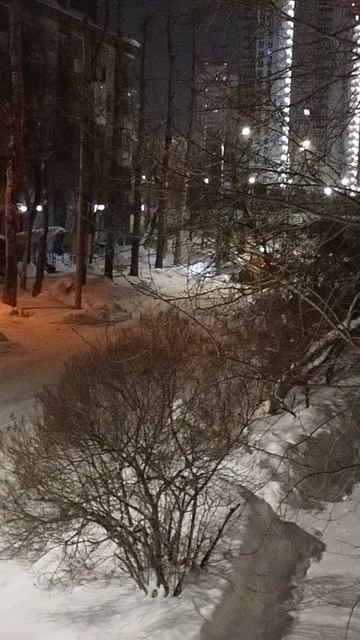 №1351 ул. Газеты Звезда. 21 января 2026 г., 3:49:36 VID_20260121_034855252