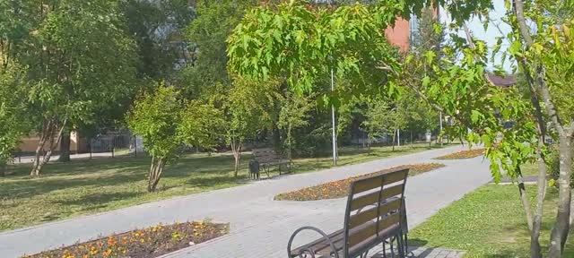 Прогулка с цыплёнком #2 ｜ Старые видео с YouTube