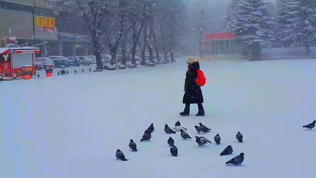 Ессентуки 17.02.2021 Снежная Зима