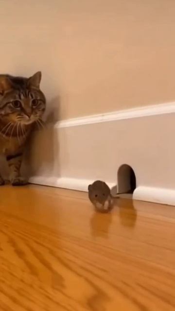 газовая поддержка 🤢