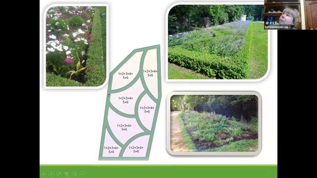 Живые изгороди в цветниках как метод снижения антропогенной нагрузки в ПКиО "Сокольники"