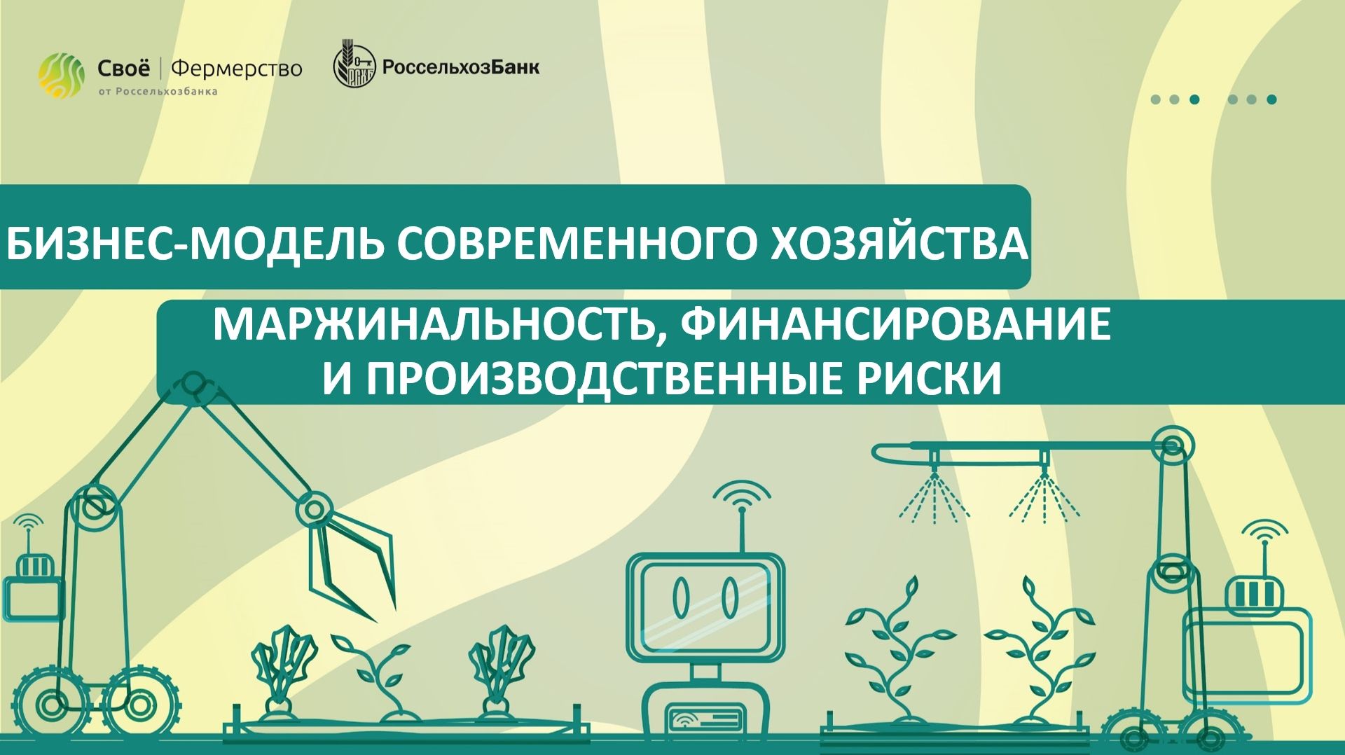 Бизнес-модель современного хозяйства: маржинальность, финансирование и производственные риски