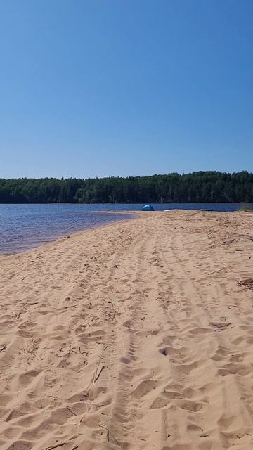 Карелия 2025. Челмужская коса. Онежское озеро. Июль 2025г (Часть 24)