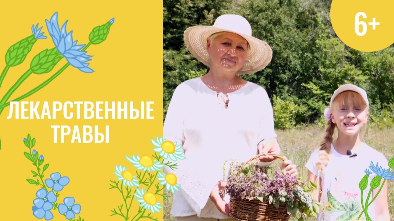Лекарственные травы. Чудеса каждый день. 5 серия (6+)