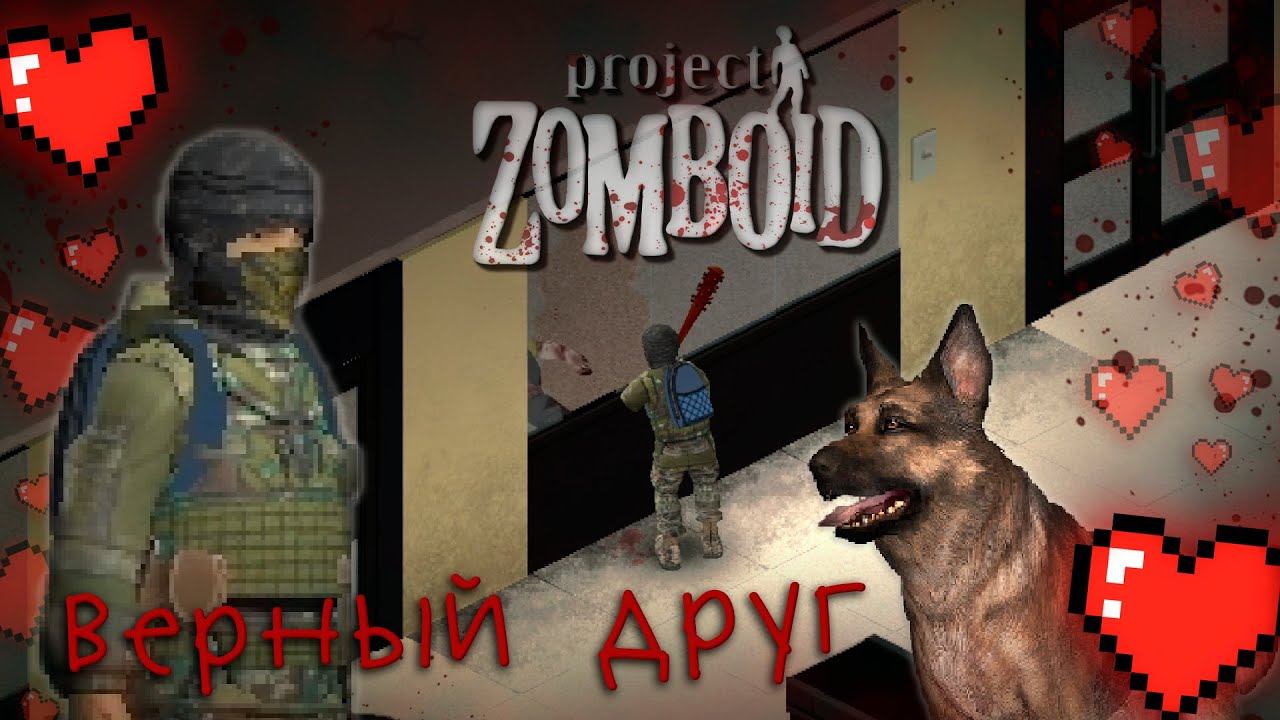 НАШЁЛ СОБАКУ в Зомби-апокалипсисе. Project Zomboid Mods