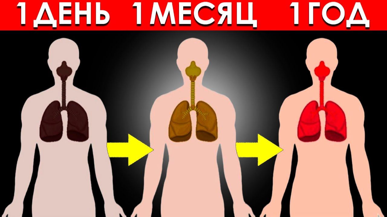 Что Произойдет с Вашим Телом, Если Вы Бросите Курить на 1 час, 1 день, 1 месяц и 1 год