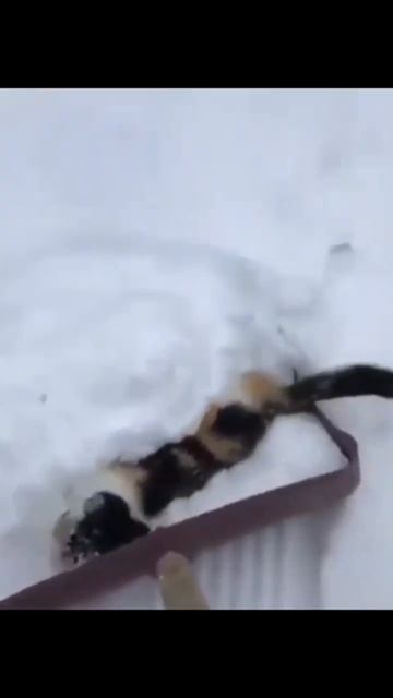 Все на уборку снега) #уборка снега #спецтехника #уборкалопатой #снегилапки #папатрехпринцесс #юмор