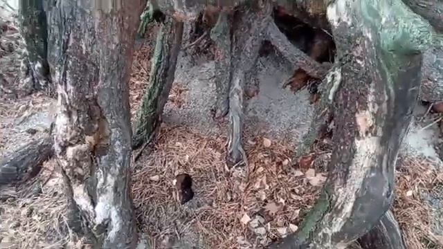 В горы Имантау Арык-Балык Часть вторая Трехдневный одиночный маршрут