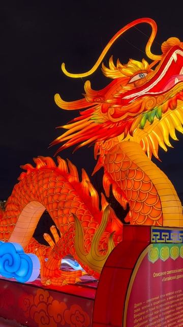 Китайский Новый год в Петербурге