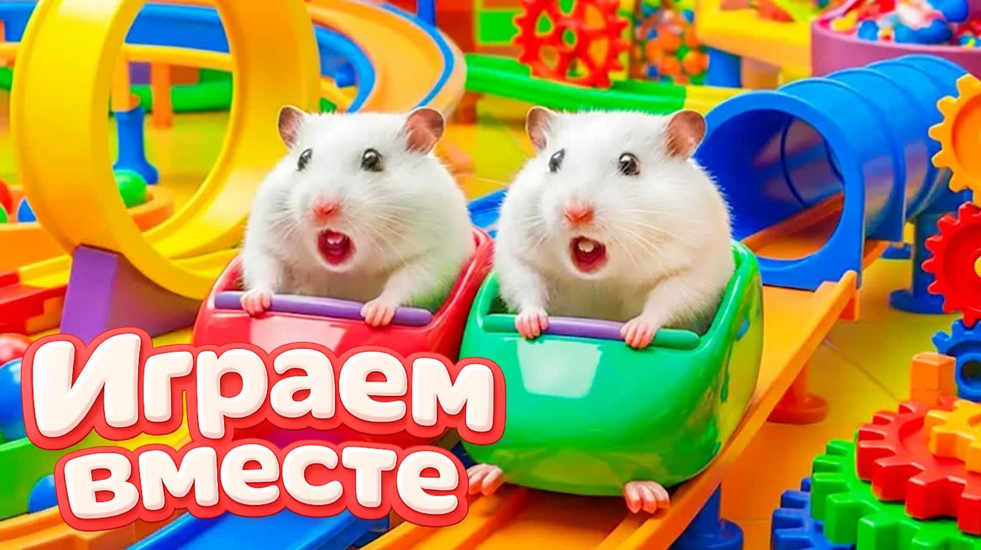 ХОМЯК ВЫБИРАЕТСЯ ИЗ СЕКРЕТНОЙ ХОМЯЧЕЙ ТЮРЬМЫ ! Играем ВМЕСТЕ 💫 Помогаем выбраться из лабиринта !