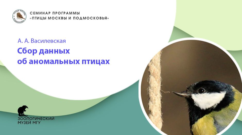 А.А. Василевская. Сбор данных об аномальных птицах