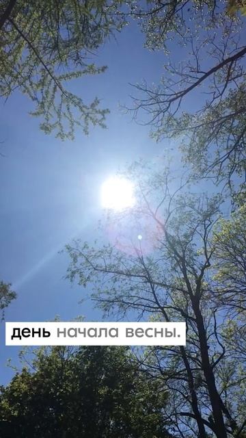 С китайским Новым годом! 🏮Синь нянь куайлэ!