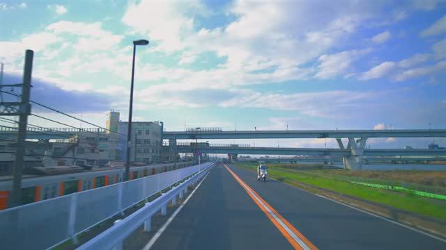 🇯🇵 Токио, Япония 🌸 Цветение вишни и тишина на берегу реки