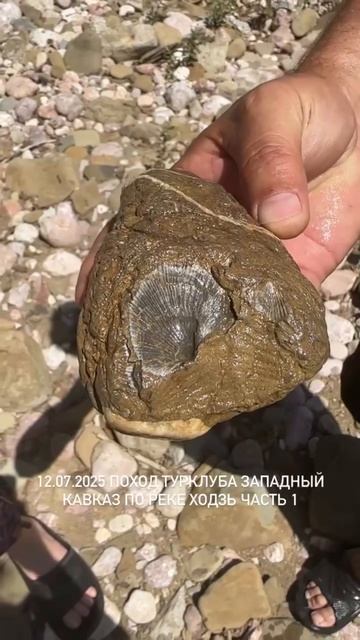 Гришкина яма