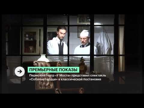 Театр «У Моста» представил спектакль «Собачье сердце» в классической постановке. Сюжет «РБК Пермь»