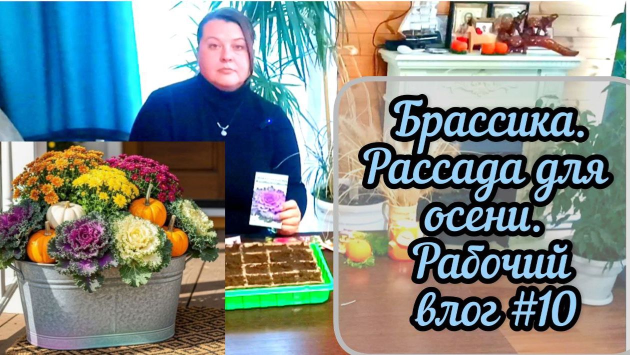 Две осенние красавицы_ готовим рассаду декоративной капусты и тыквы. Пересадка авокадо.